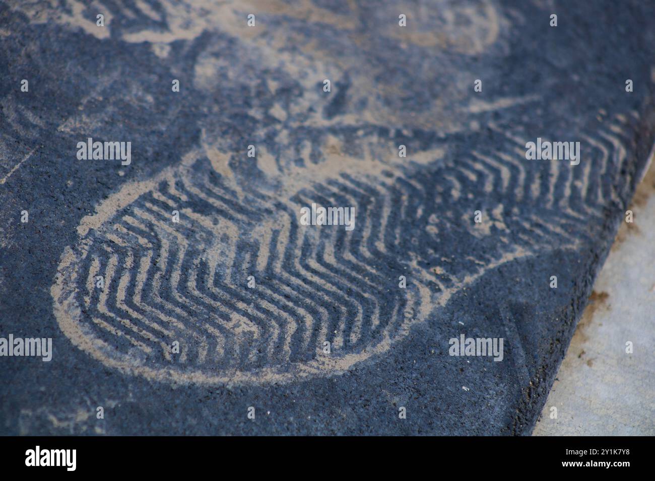 Suspenseful scene setting hi-res stock photography and images - Alamy