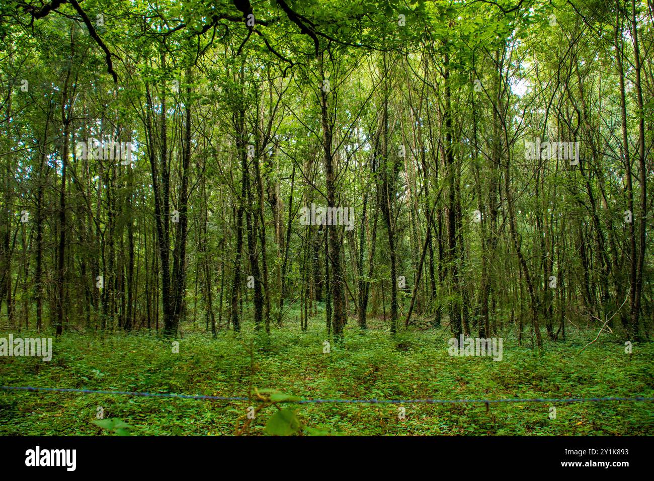 Paralellism hi-res stock photography and images - Alamy