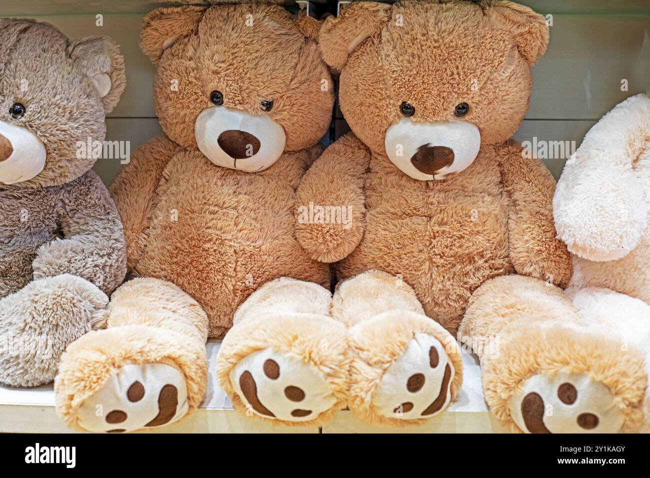 large brown teddy bears in the supermarket. World of Childhood Stock ...