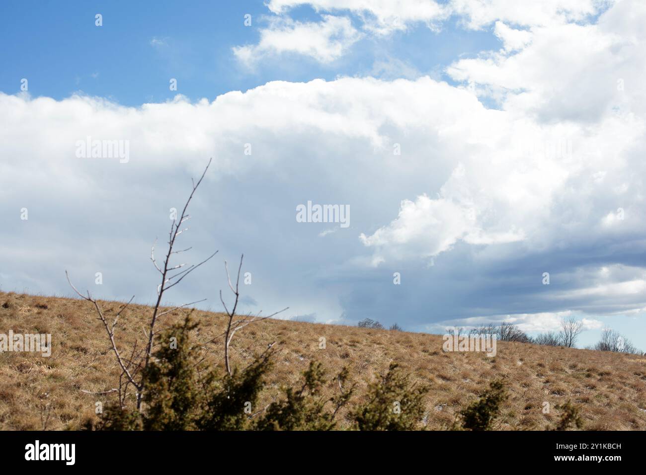 The peak of Slavnik in the spring season, Slovenia Stock Photo - Alamy