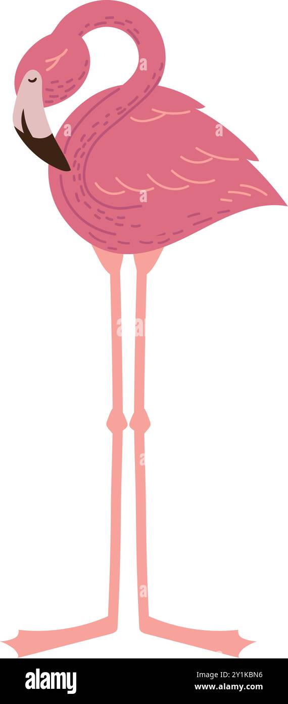 pink flemish bird wild character Stock Vector Image & Art - Alamy