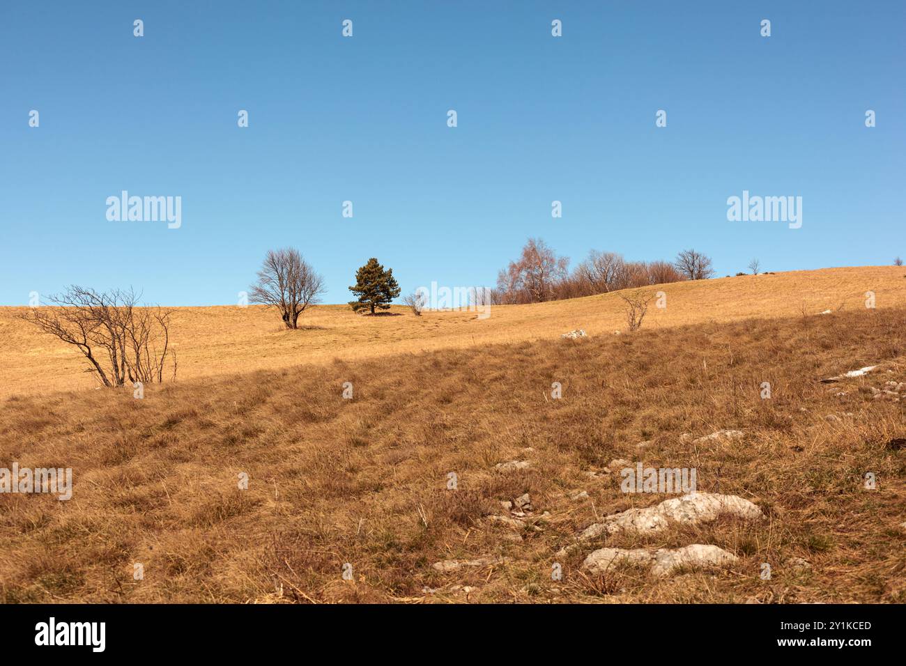 The peak of Slavnik in the spring season, Slovenia Stock Photo - Alamy