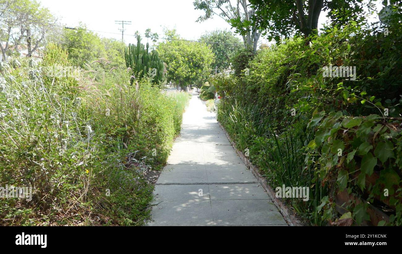 Los Angeles, California, USA 6th September 2024 Sidewalk on September 6 ...