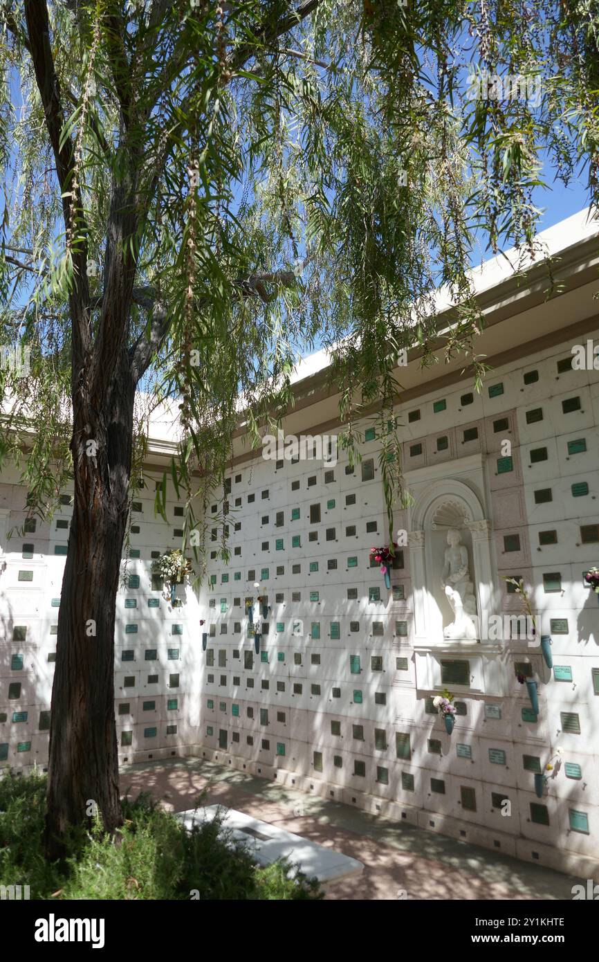 Los Angeles, California, USA 6th September 2024 Actor Robert Adler ...