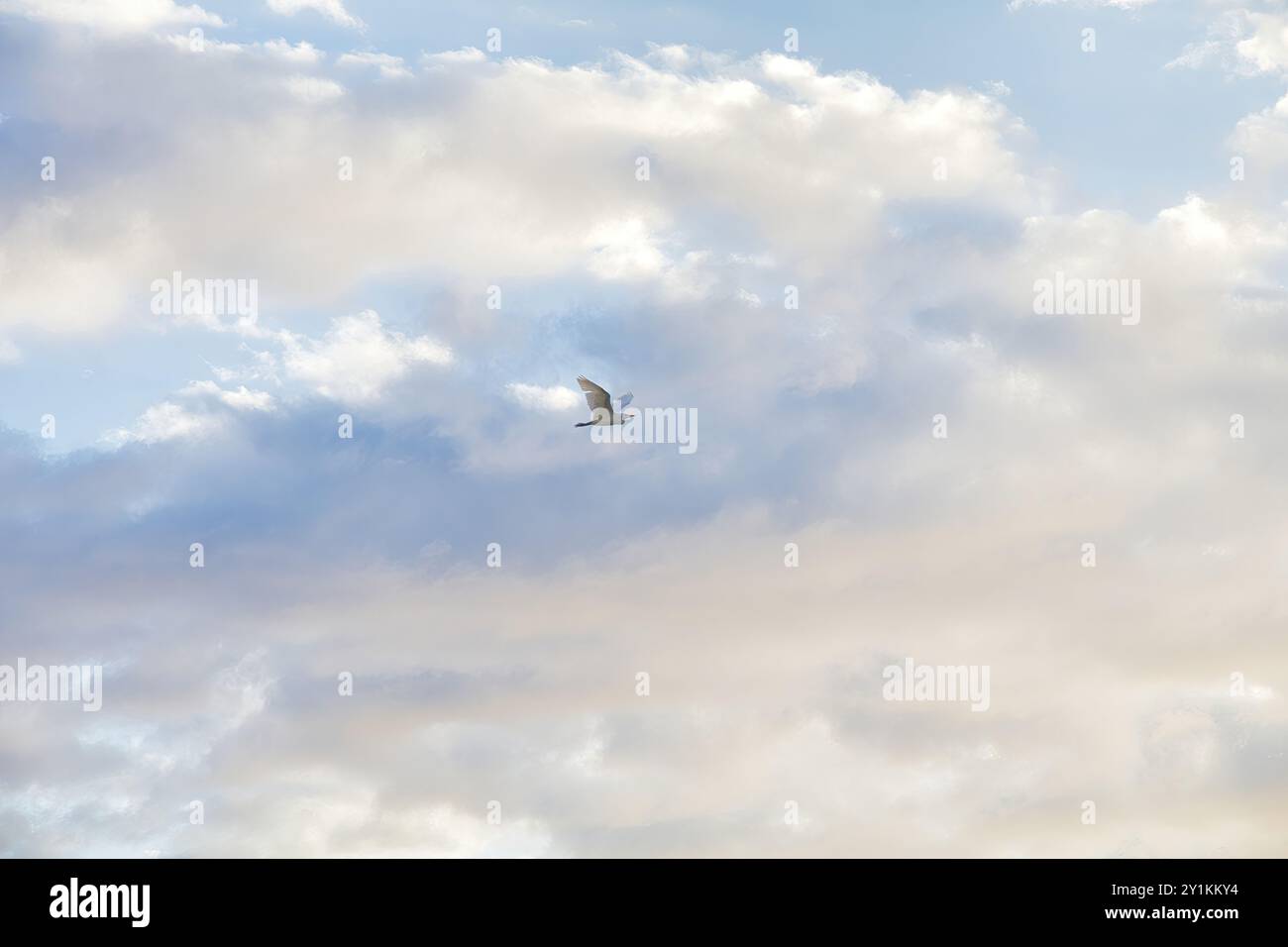 Calm sky overhead hi-res stock photography and images - Alamy