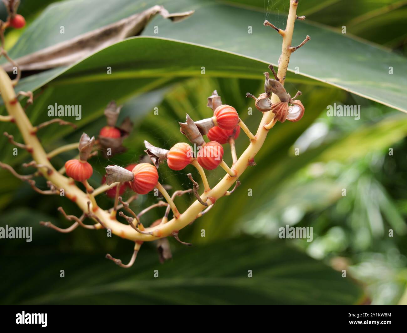 Topeka, Kansas - September 2, 2024: Nice Sunny Fall Weather at the Zoo ...