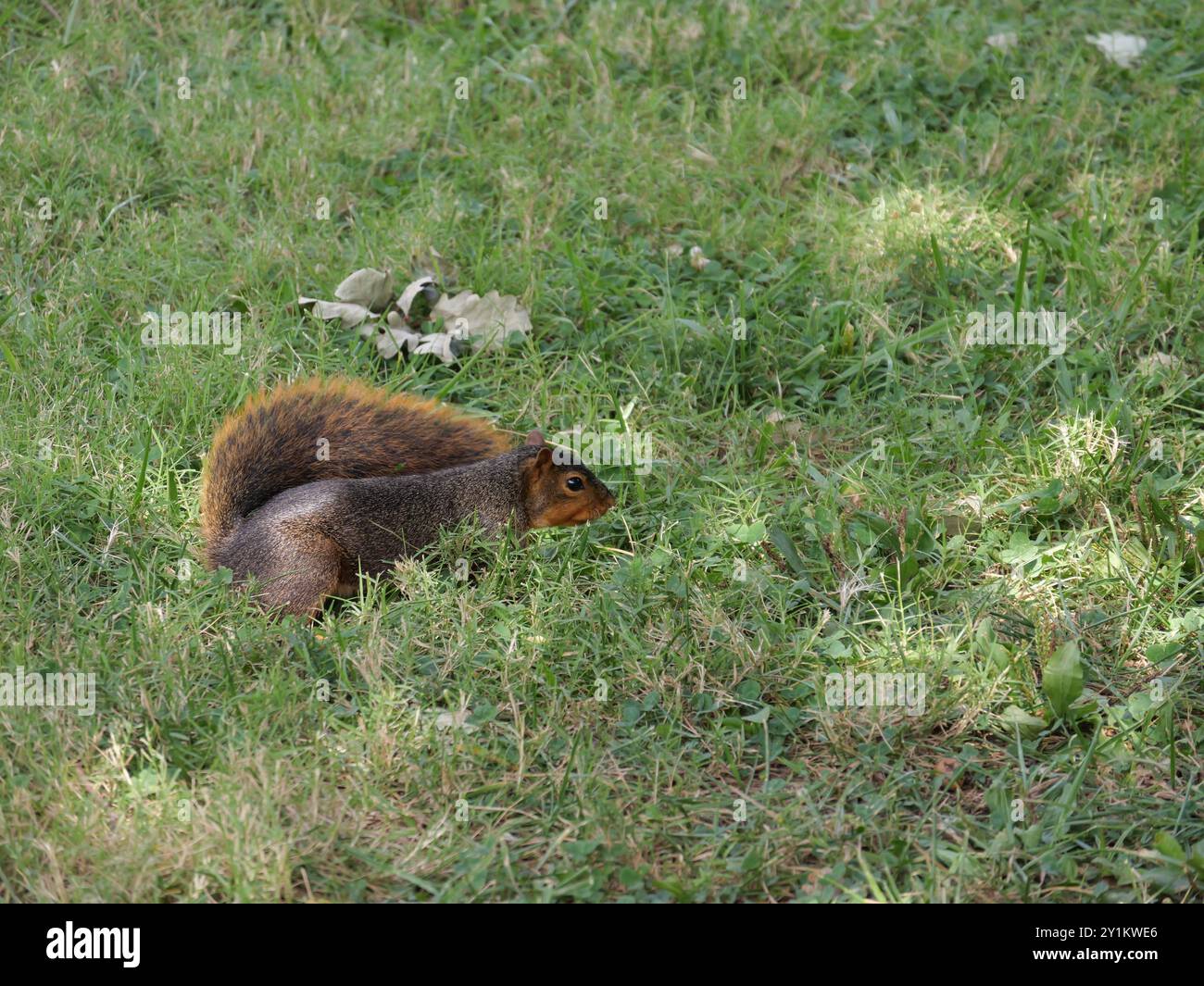 Topeka, Kansas - September 2, 2024: Nice Sunny Fall Weather at the Zoo ...