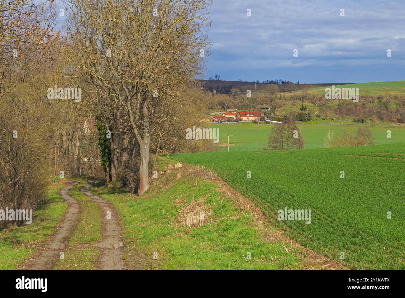 Elbe Mulde cycle path Stock Photo - Alamy