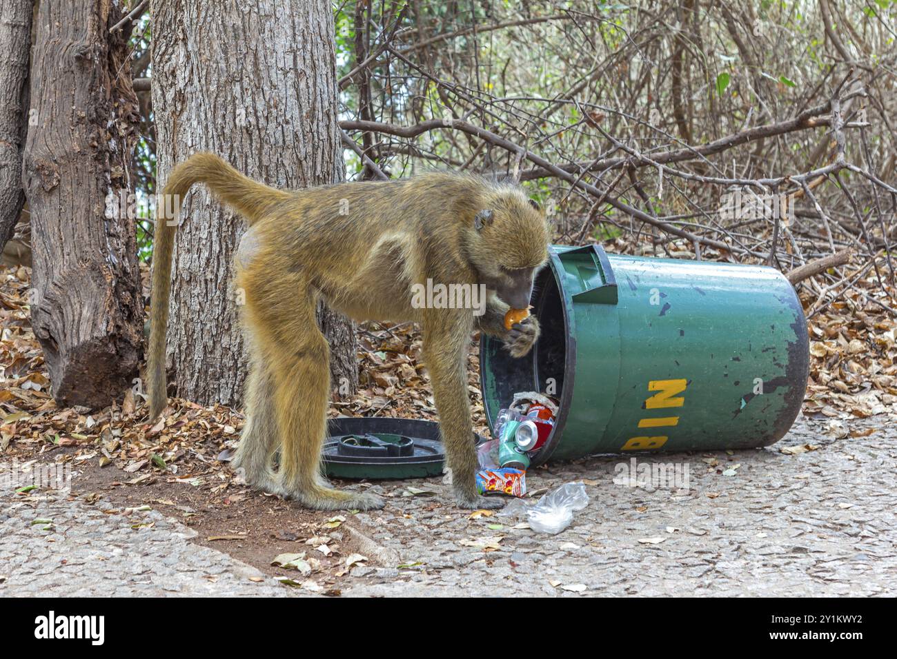 Garbage chute hi-res stock photography and images - Alamy