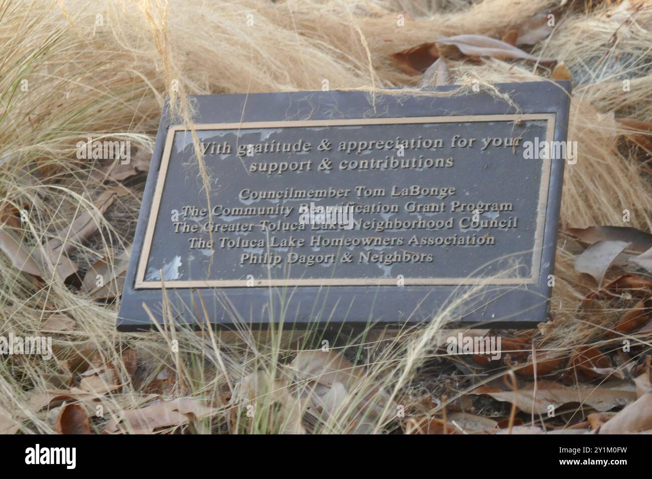 Los Angeles, California, USA 6th September 2024 Tom Lebonge Sign ...
