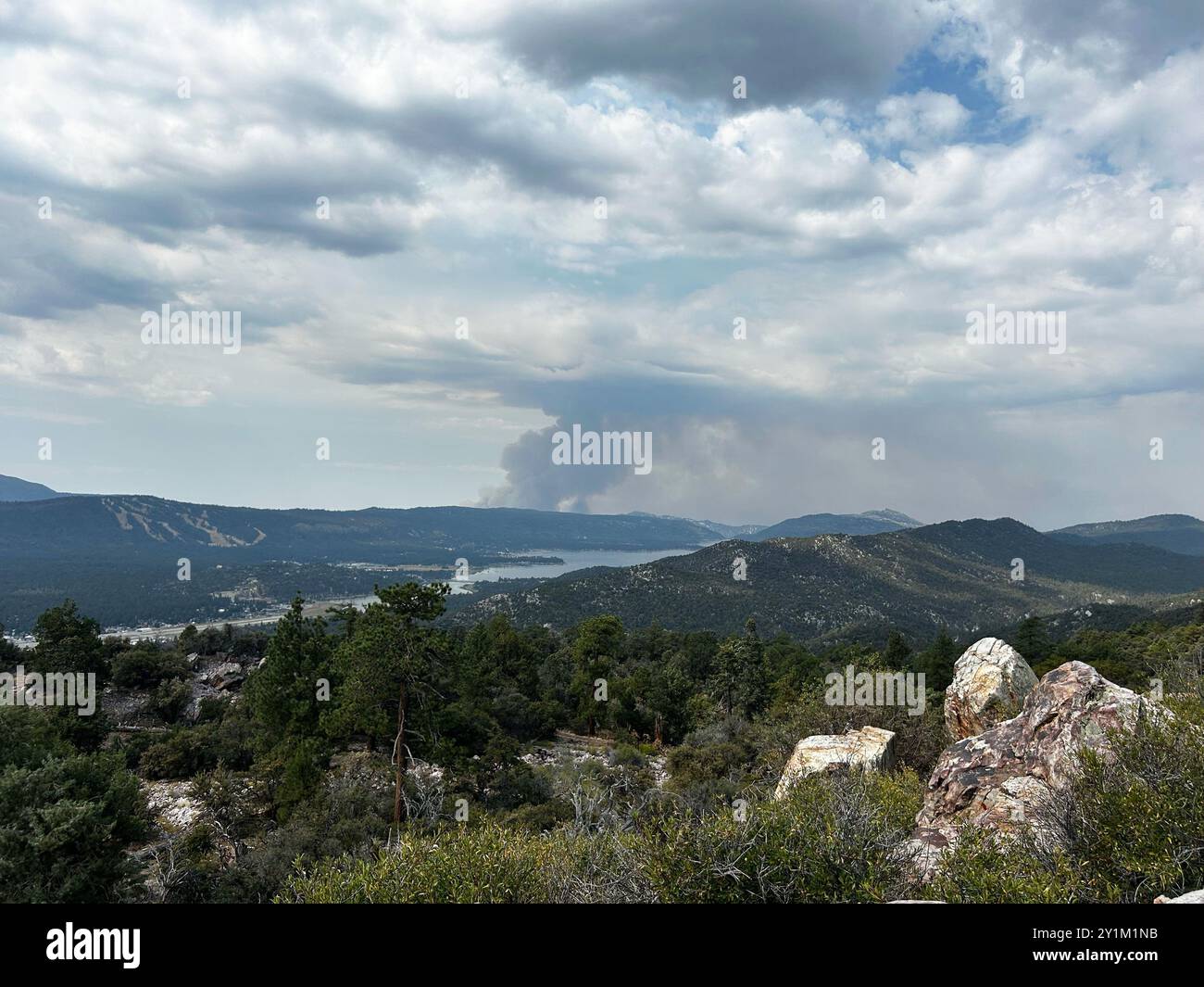 Forest fire big erupted in hi-res stock photography and images - Alamy