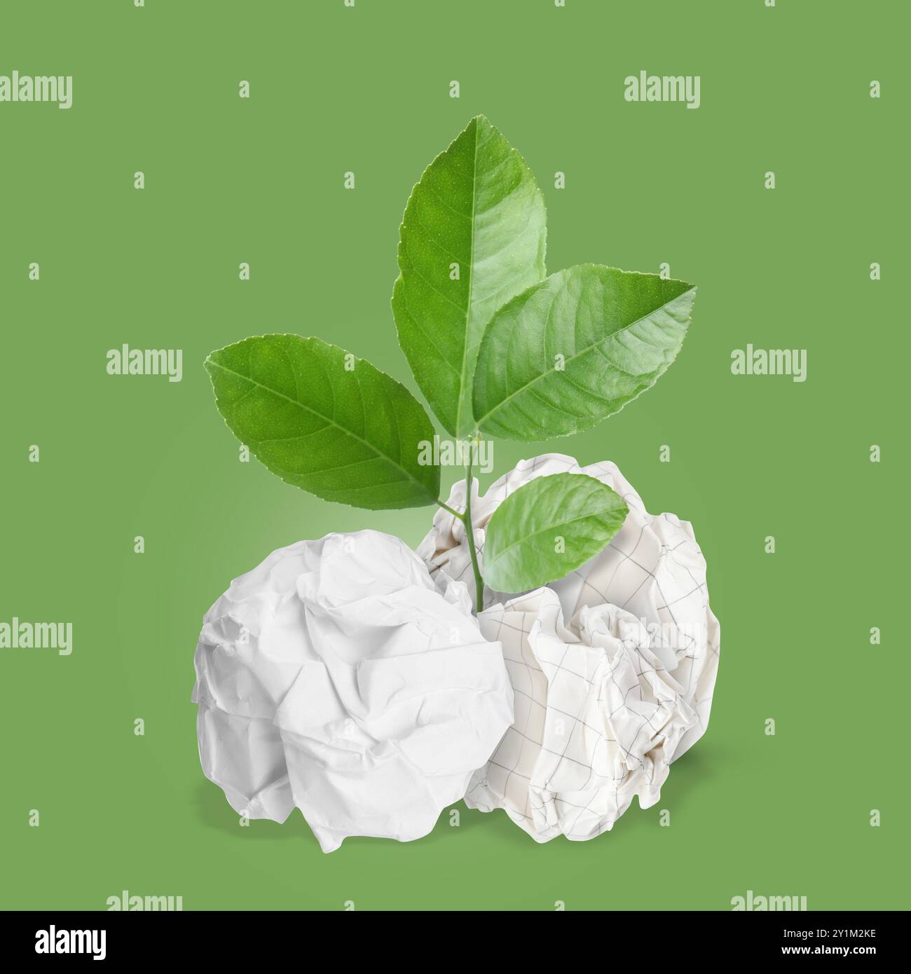 Seedling with leaves growing from crumpled paper balls on green ...