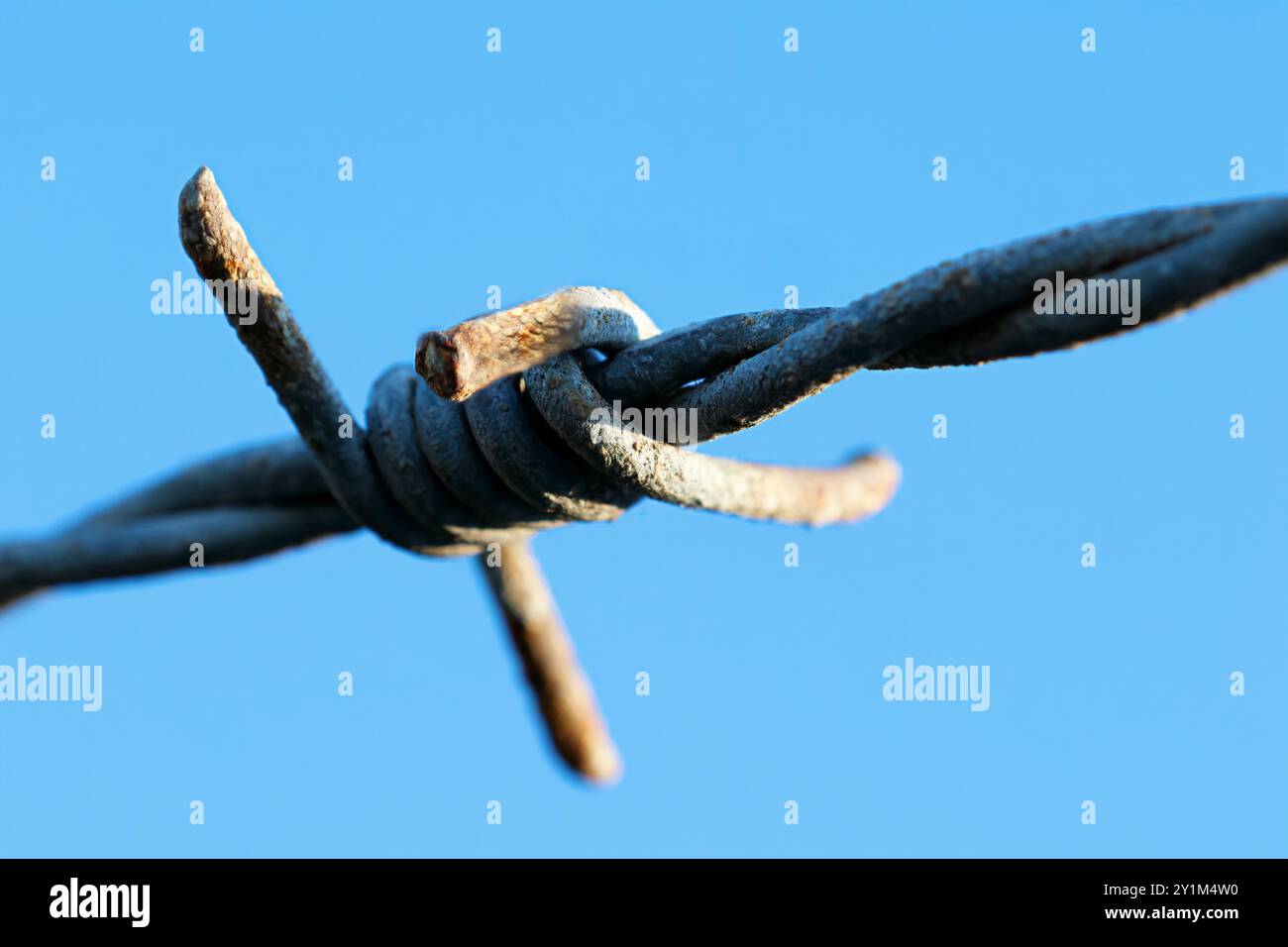 Random images of street photography of objects. Wire barbed and sharp ...