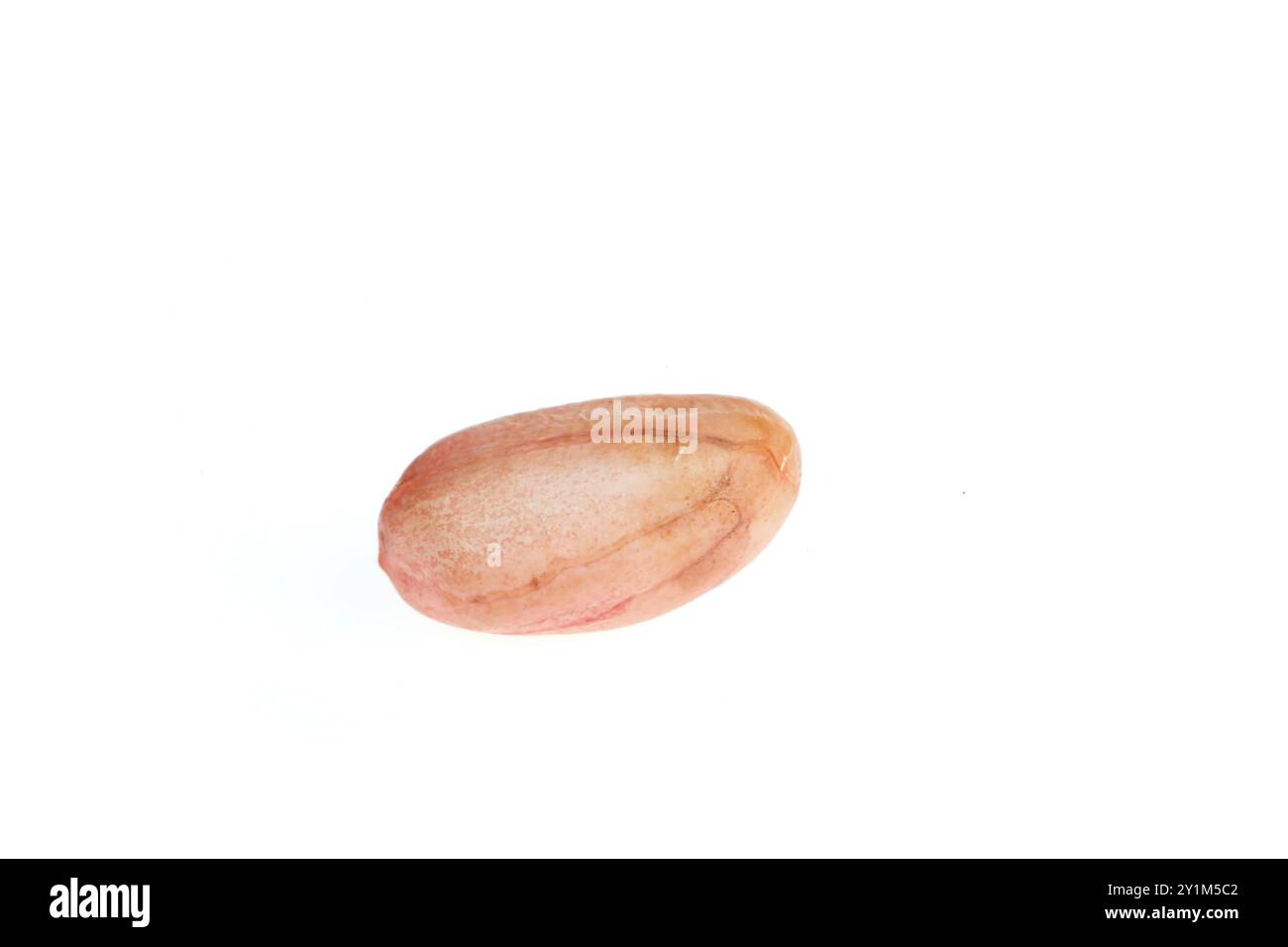 Peeled peanut kernels isolated on a white background, shot up close ...