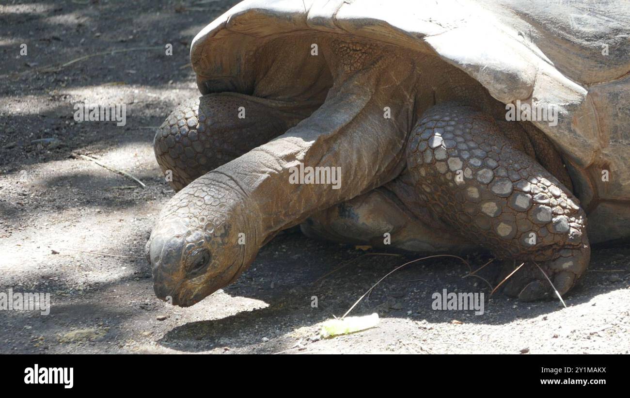 Los Angeles, California, USA 6th September 2024 Musician Dave Prichard ...