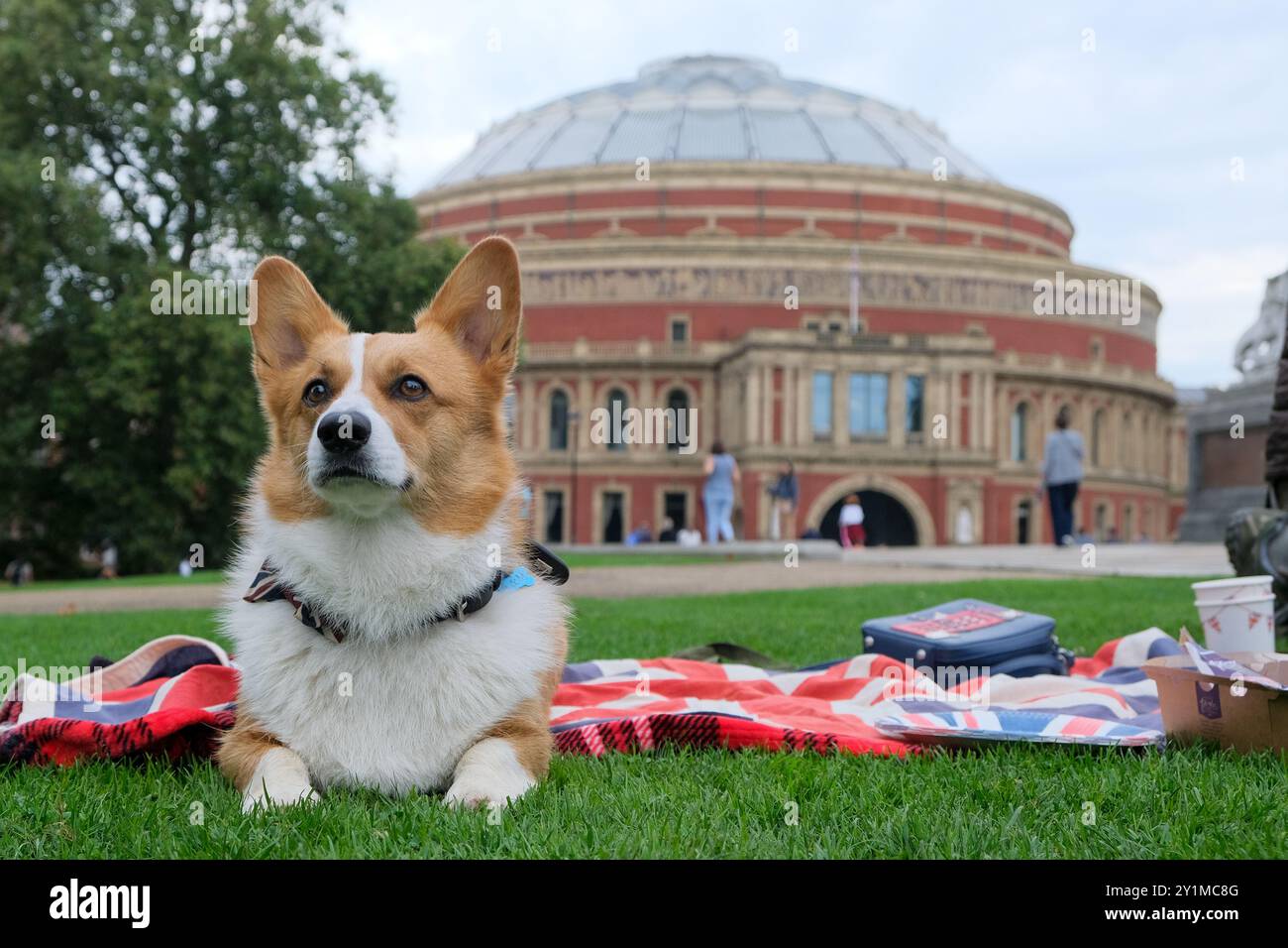 London, UK, 7th September, 2024. Corgi owners and their four legged ...