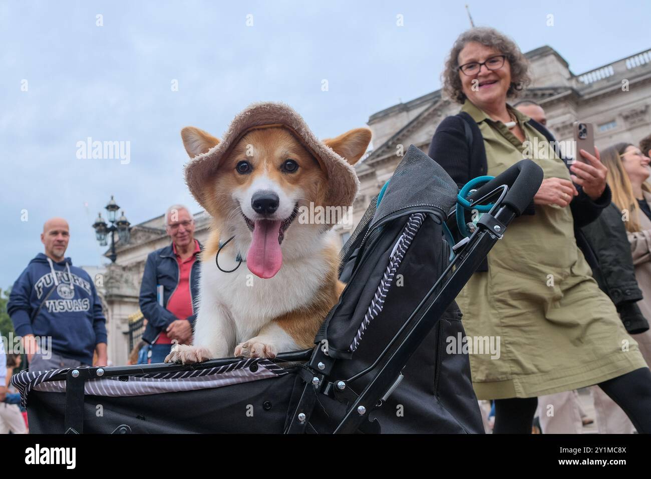 London, UK, 7th September, 2024. Corgi owners and their four legged ...