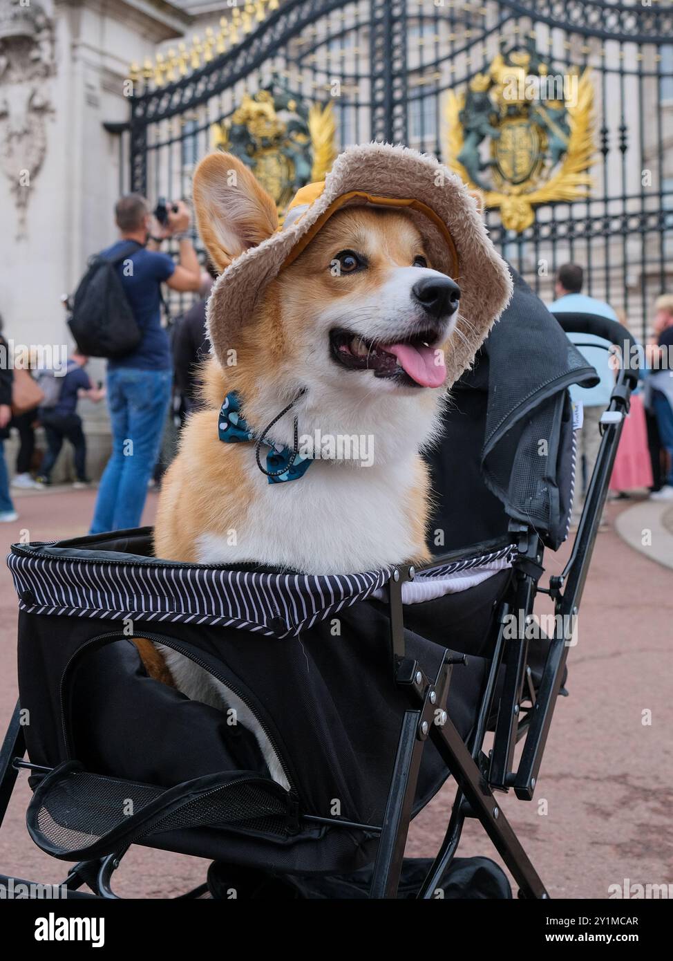 London, UK, 7th September, 2024. Corgi owners and their four legged ...