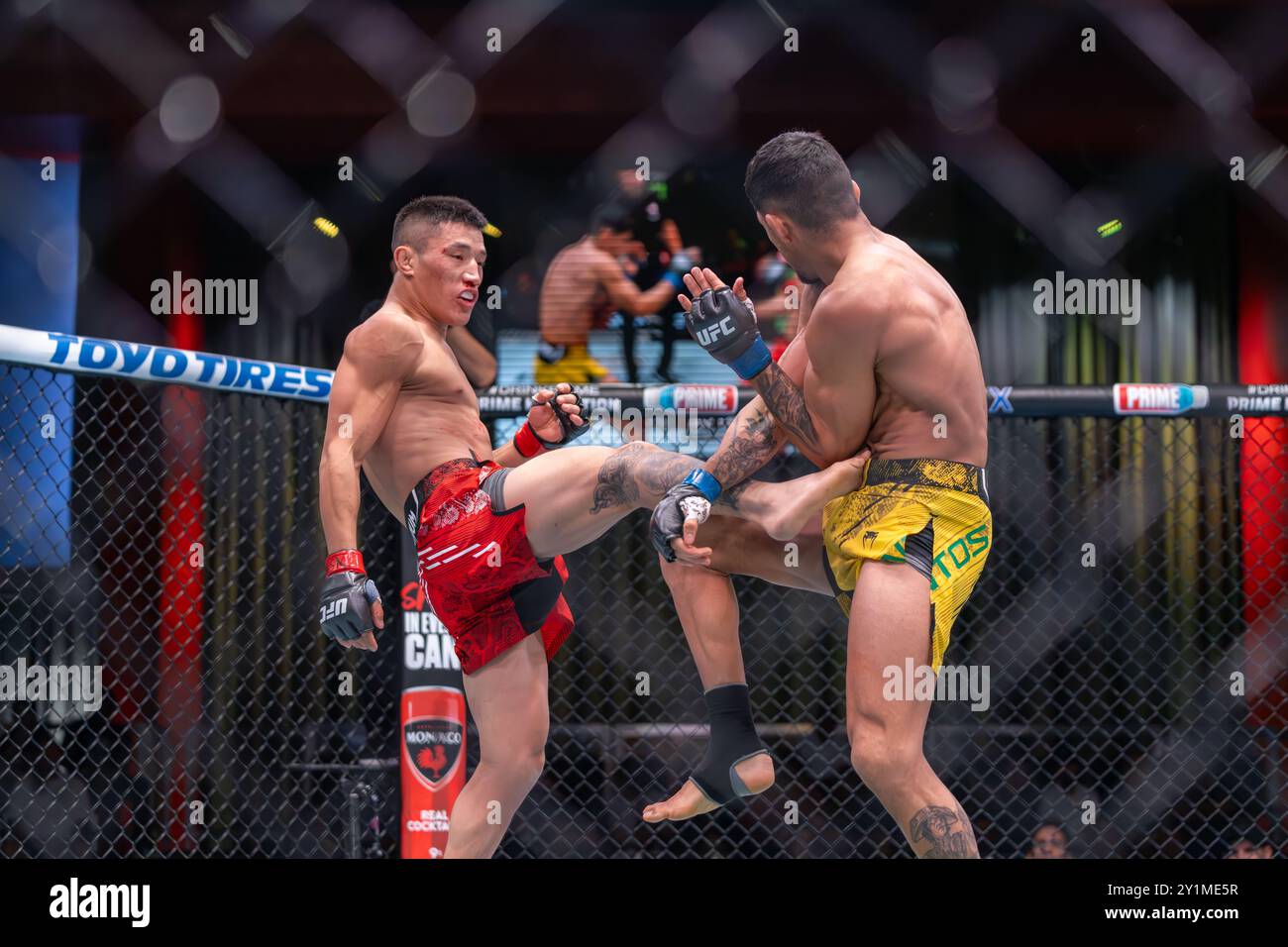 Las Vegas, USA. 7th Sep 2024. UFC Featherweight Yizha lands a body kick ...