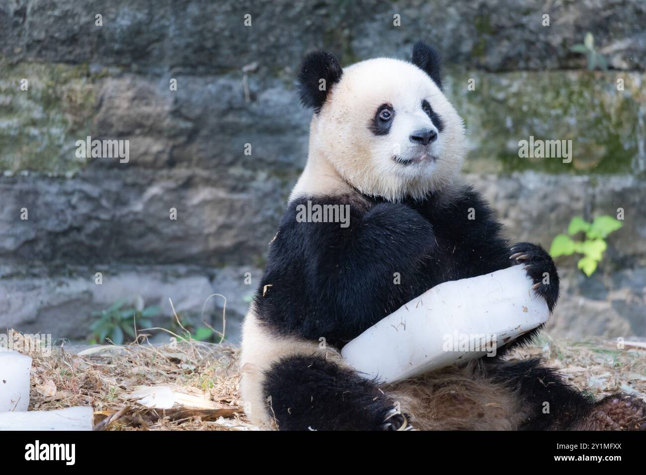 Srl cube hi-res stock photography and images - Alamy