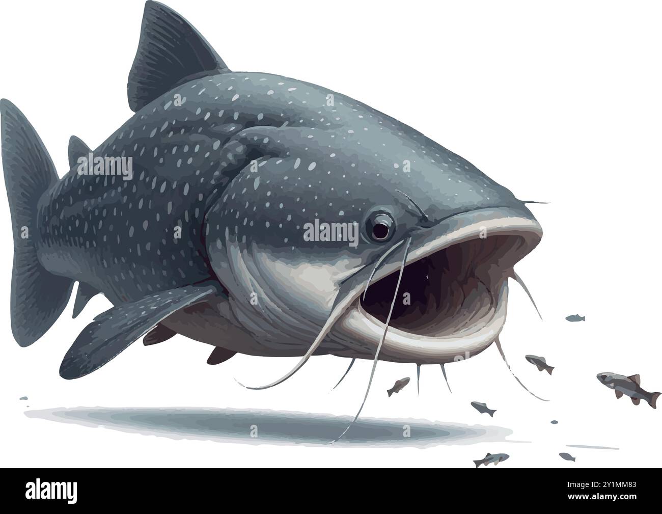 Piraíba Catfish: A Predator at the Top of the Food Chain Stock Vector ...