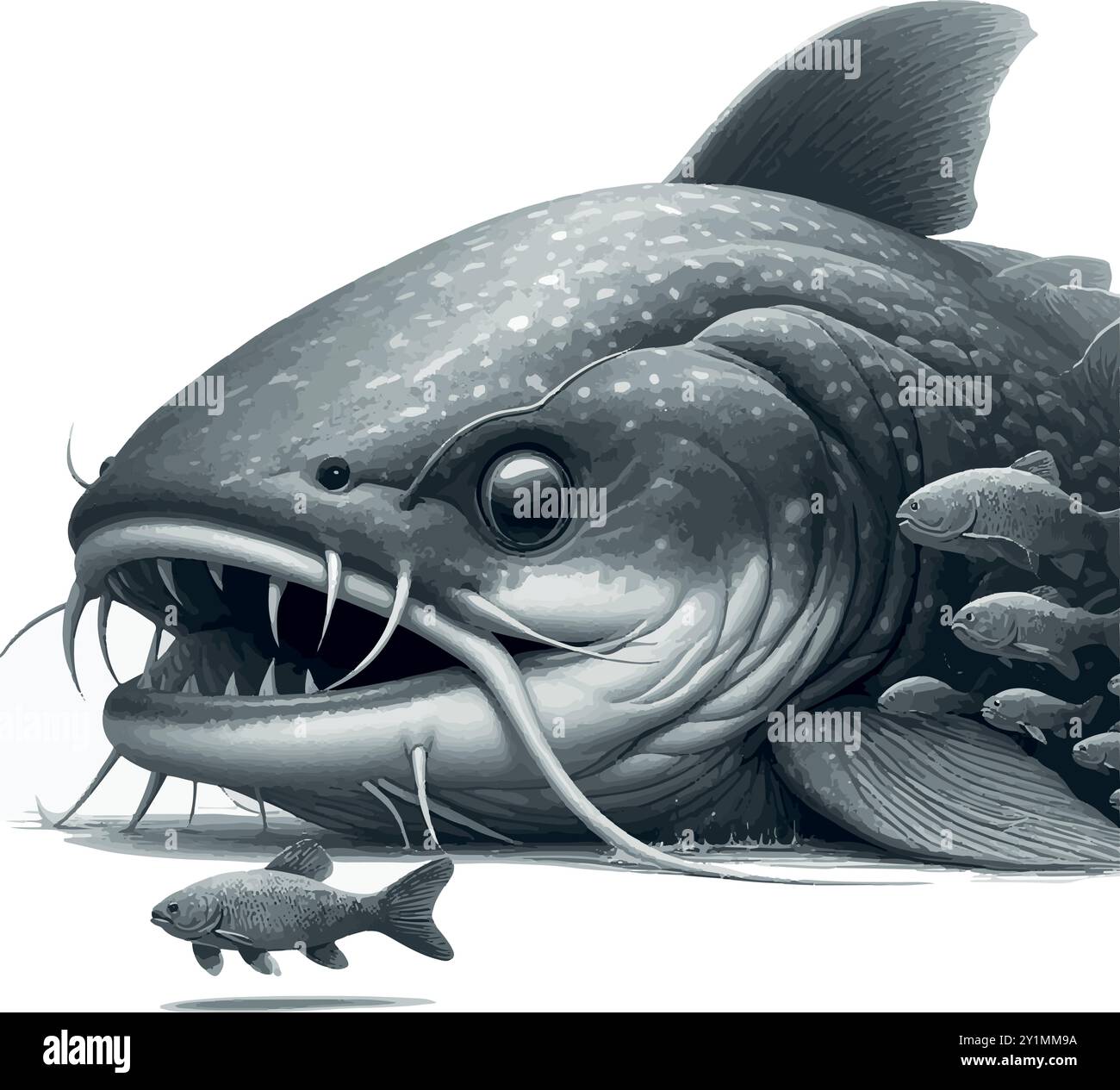 Piraíba Catfish: The Giant Predator of South American Rivers Stock ...