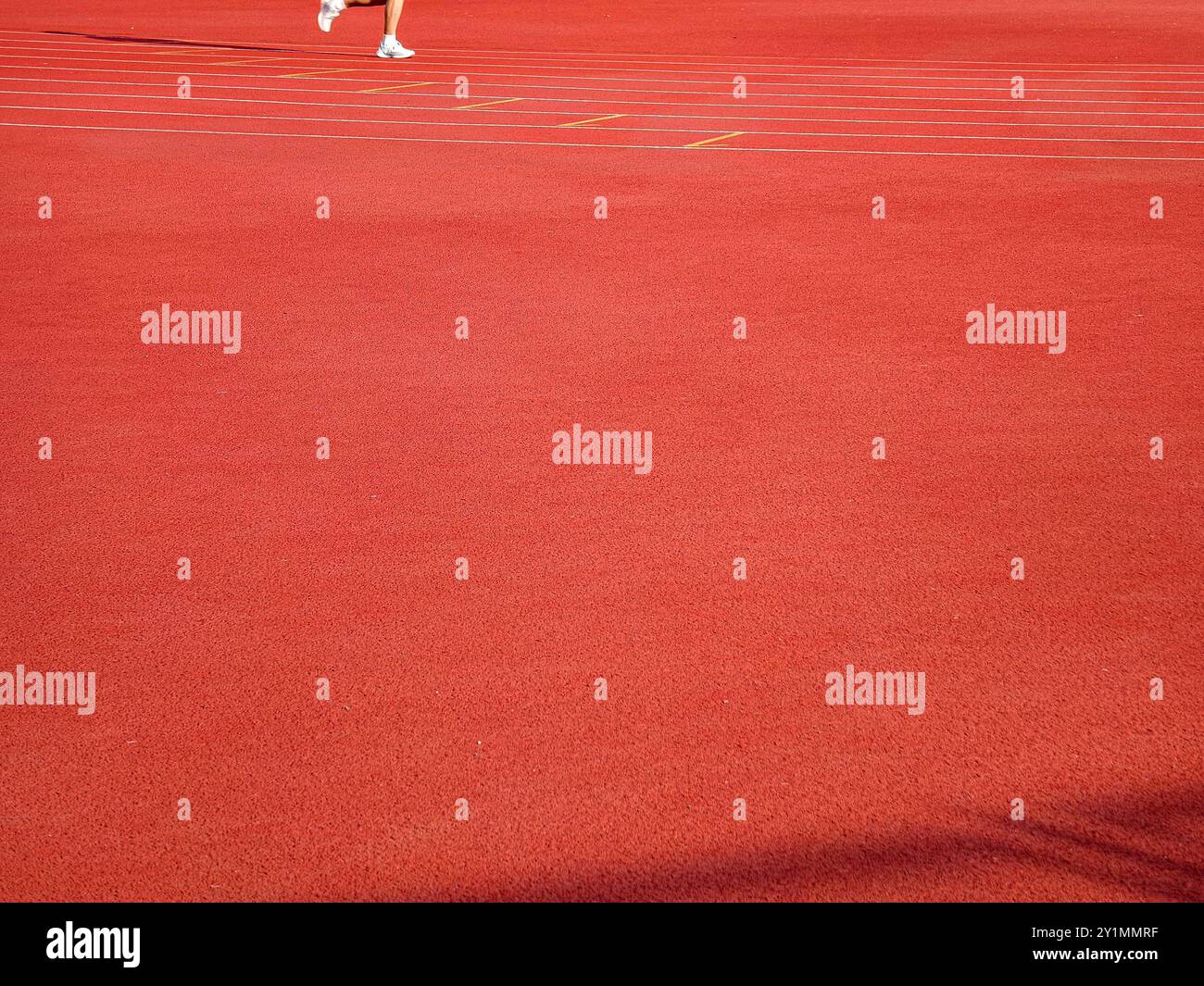 running track in stadium Stock Photo - Alamy