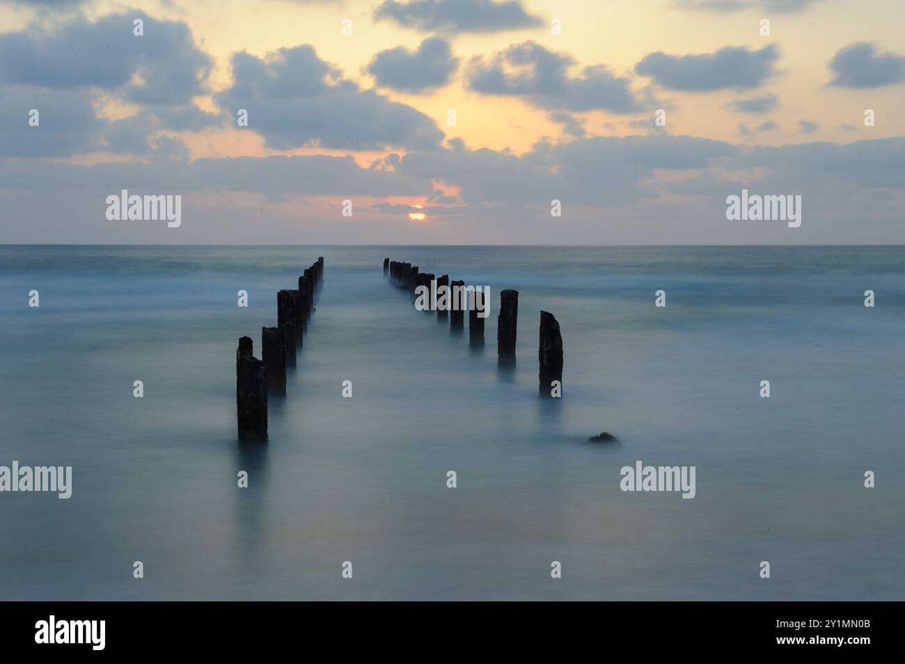Two rows of blackened, wooden stumps from the base of an old, abandoned ...