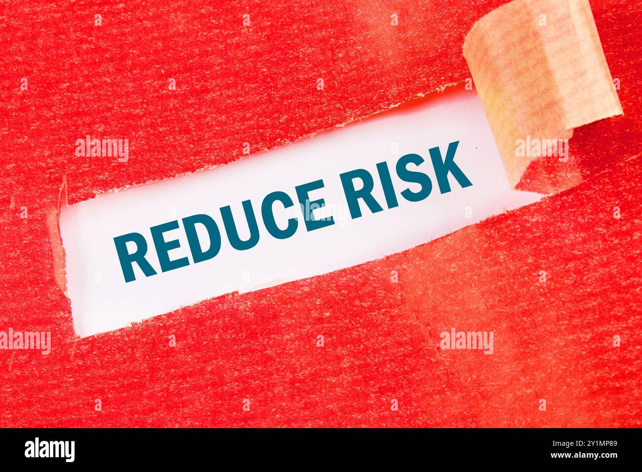 Conceptual reduce risk symbol. Copy space. Words REDUCE RISK on a white ...