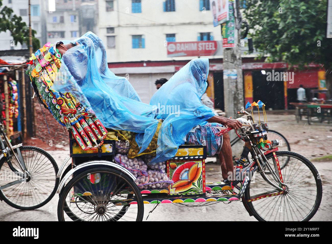 Dhaka, Bangladesh. 07th Sep, 2024. A rickshaw puller makes his way ...
