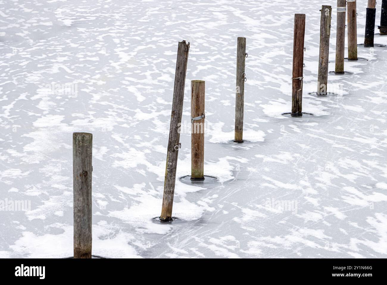 Wooden stakes in frozen water Stock Photo - Alamy