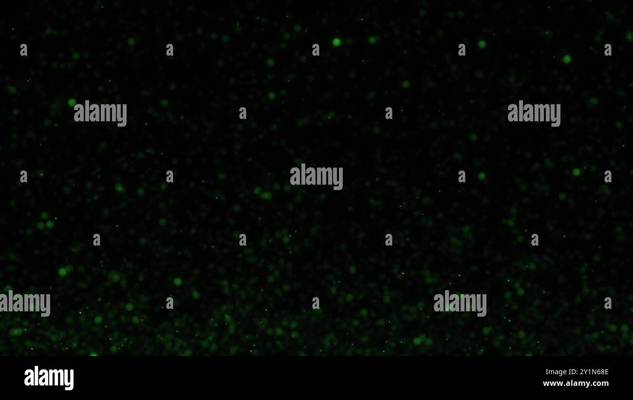 3D green glow sparks particles on black bg move up 3d render Stock Photo - Alamy