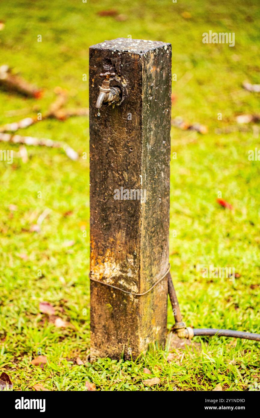 Curepipe Botanic Gardens (or SSR Botanical Garden of Curepipe) in Route ...