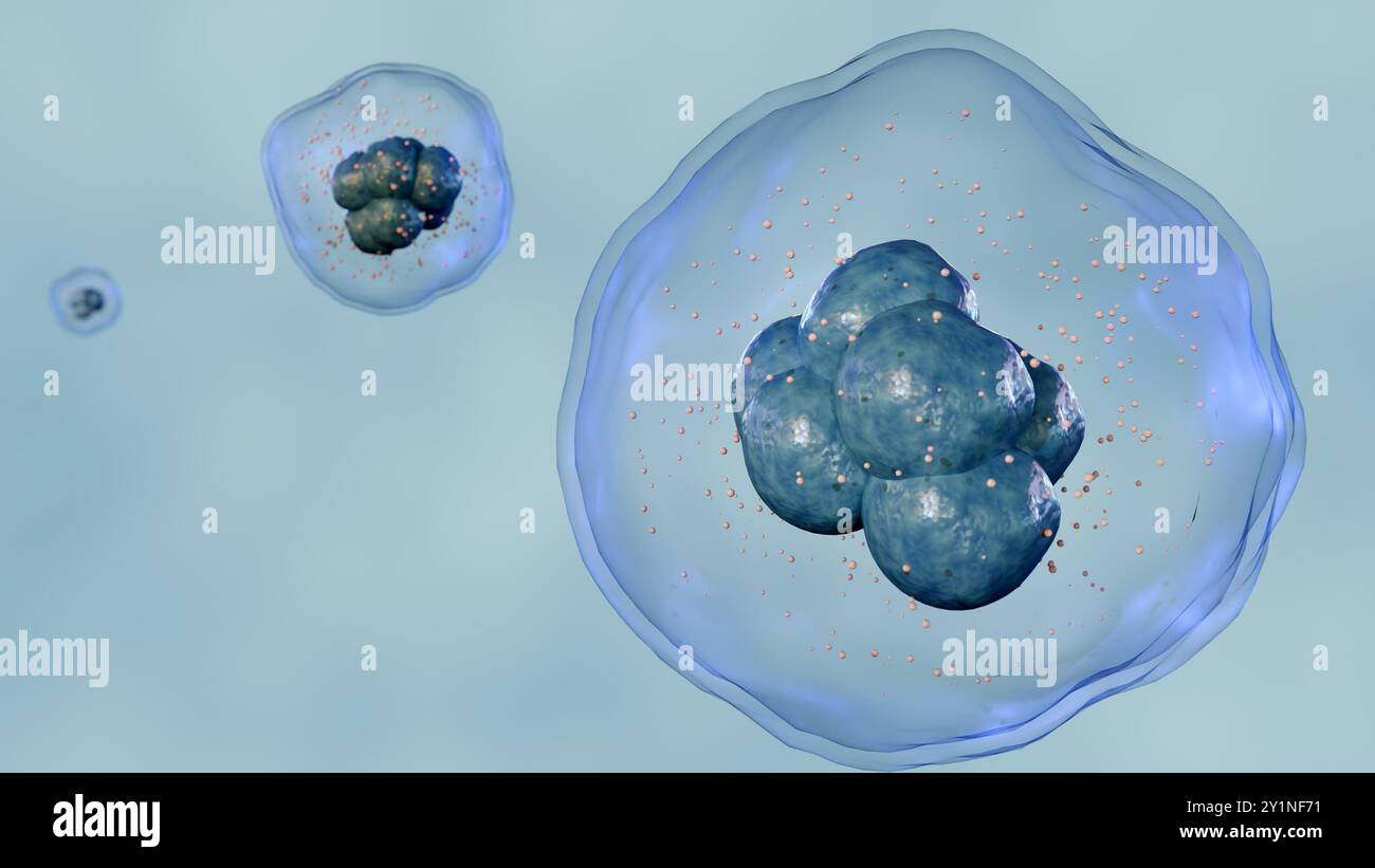 3d rendering of a microscopic view of multiple cells, each surrounded ...