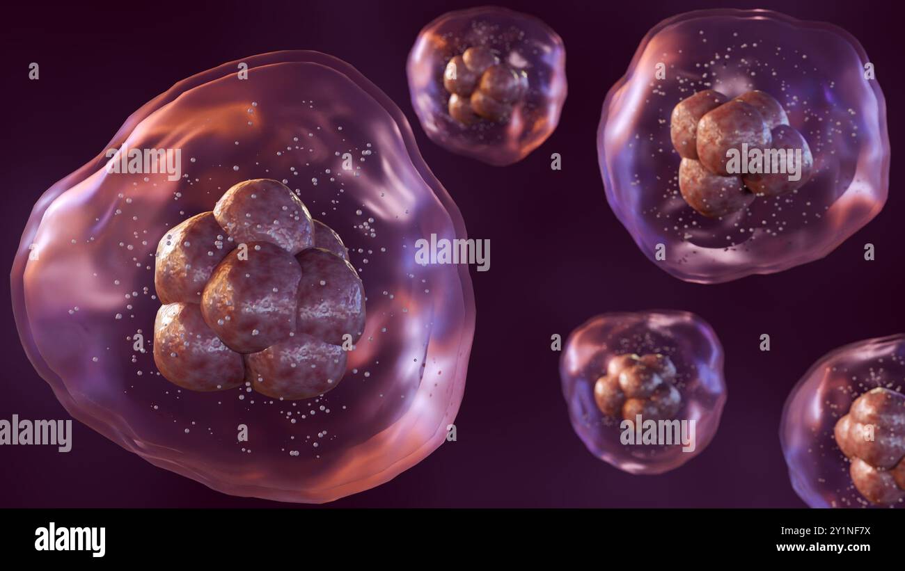 Microscopic view cells hi-res stock photography and images - Alamy