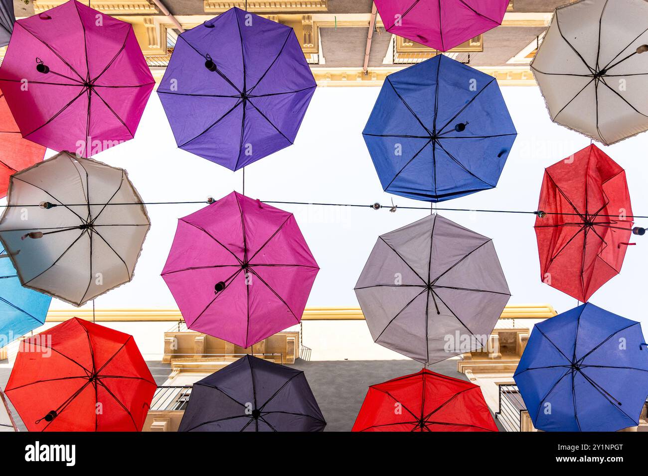 Vibrant umbrellas hanging over street in Catania, Sicily. Colorful ...