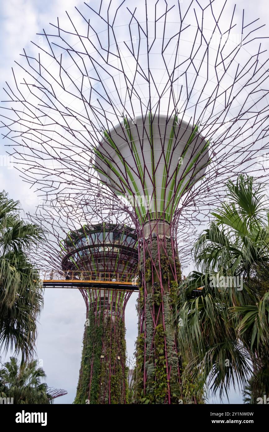 Singapore - 9 March 2024: Supertree Grove in Garden By the Bay ...