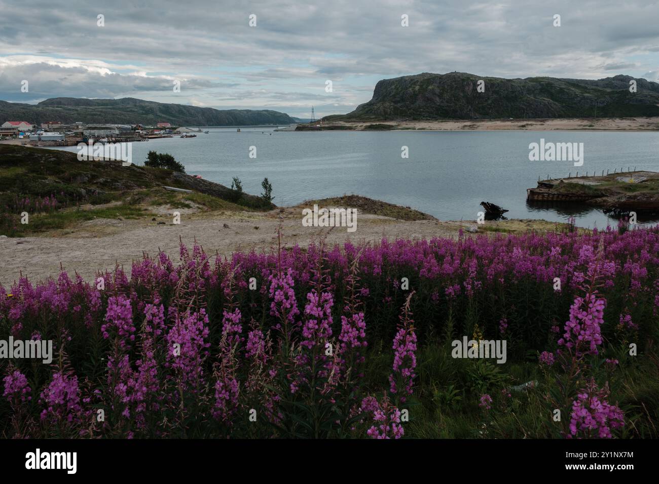 Barents Sea shore in Teribenka, Murmansk region Stock Photo - Alamy