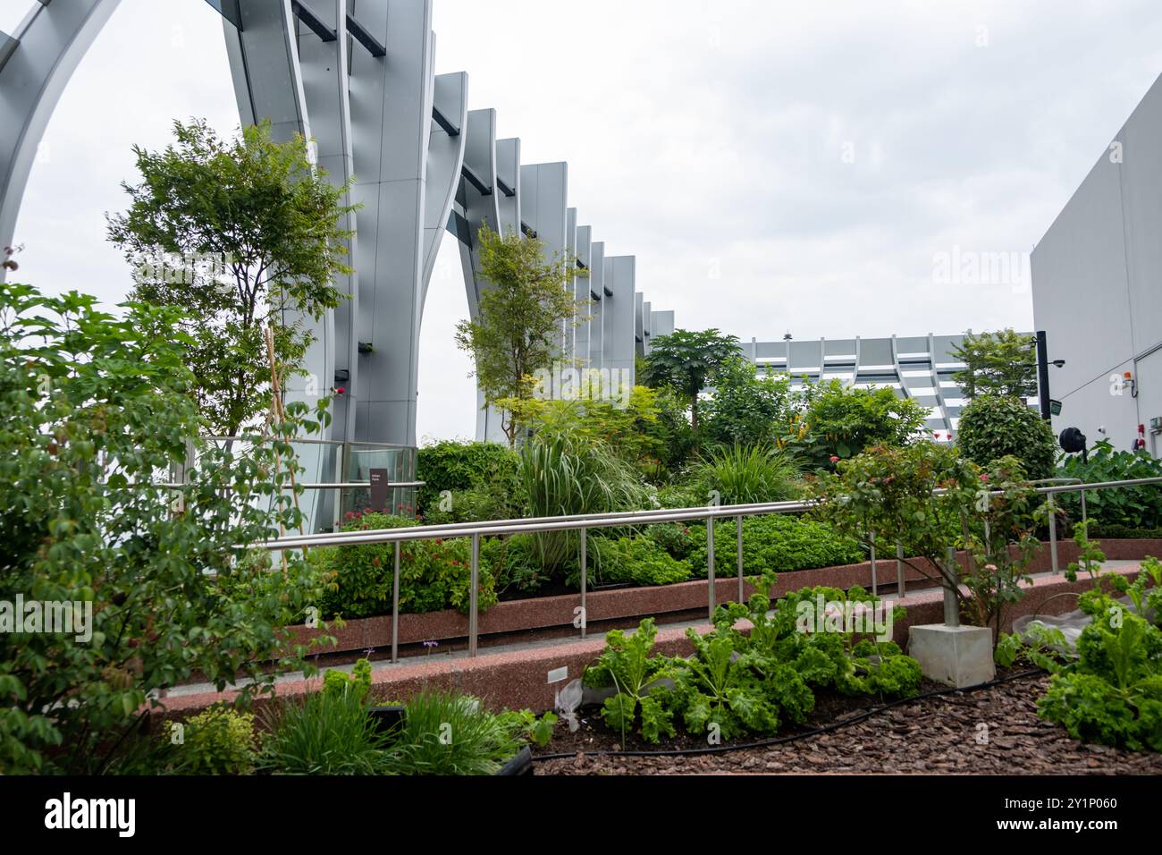 Singapore - 8 March 2024: View of Sky Garden at CapitaSpring Building ...