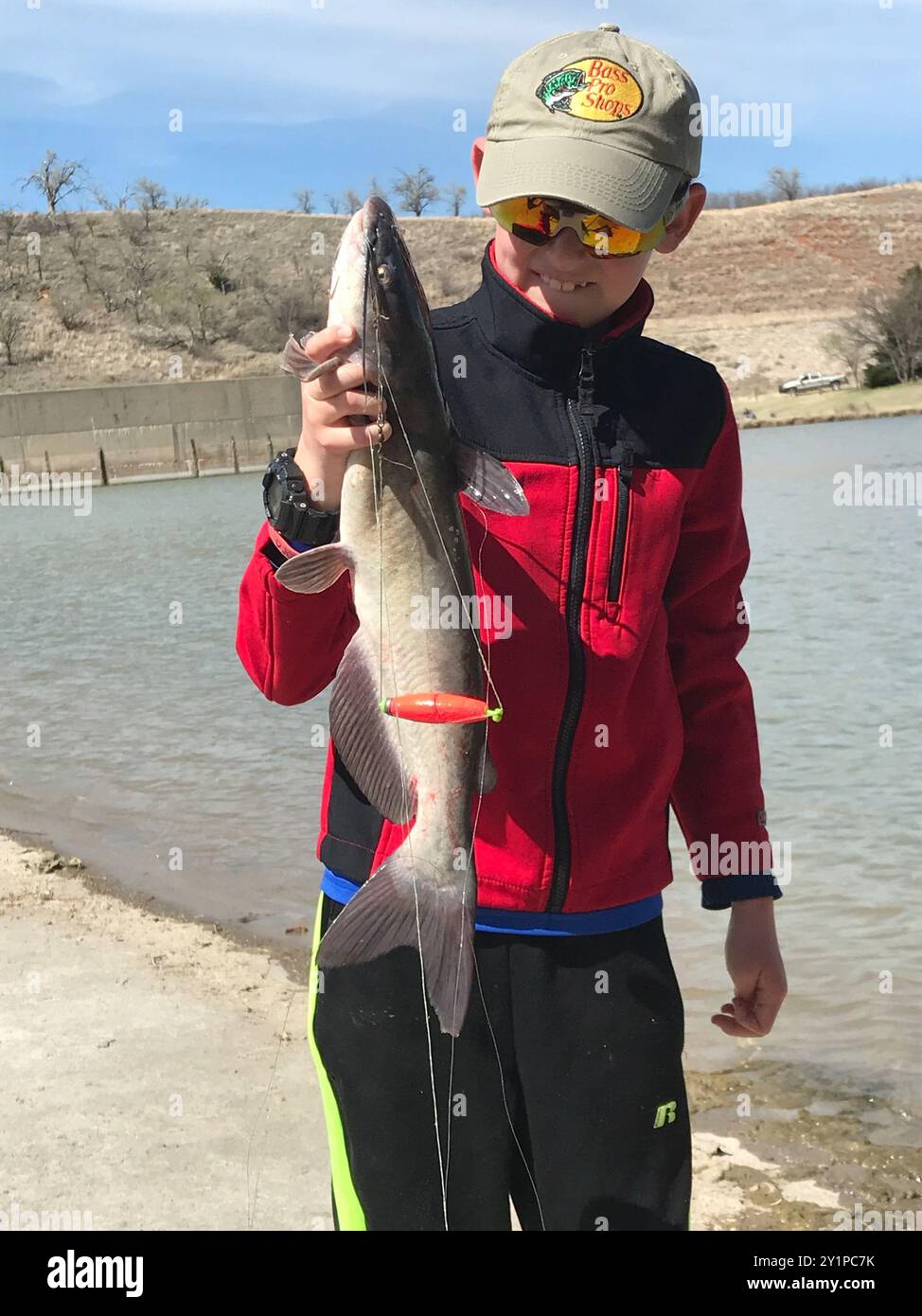 Channel Catfish (Ictalurus punctatus) Actinopterygii Stock Photo - Alamy