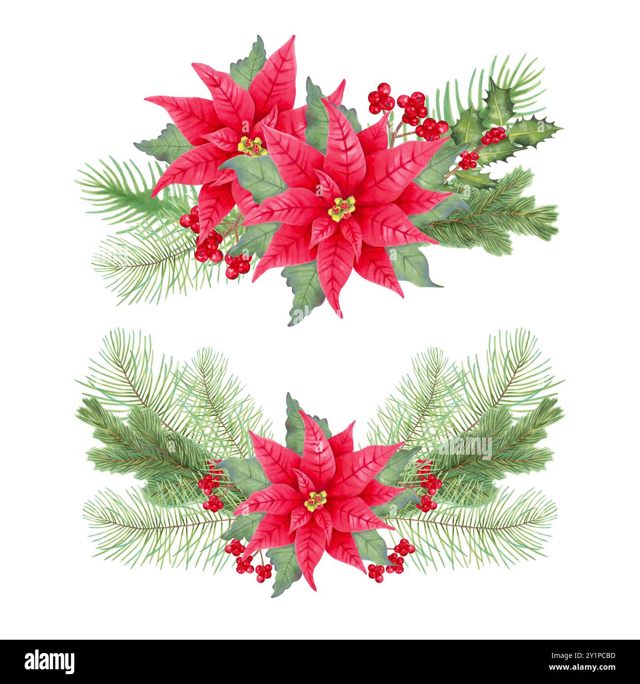 Poinsettia clipart hi-res stock photography and images - Alamy