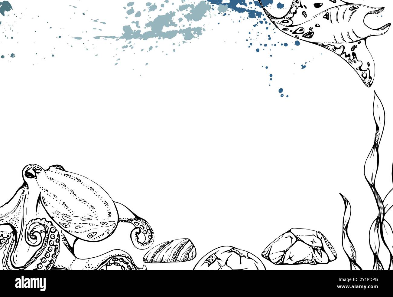 Manta ray jellyfish octopus Marine life, sea ocean underwater creatures ...