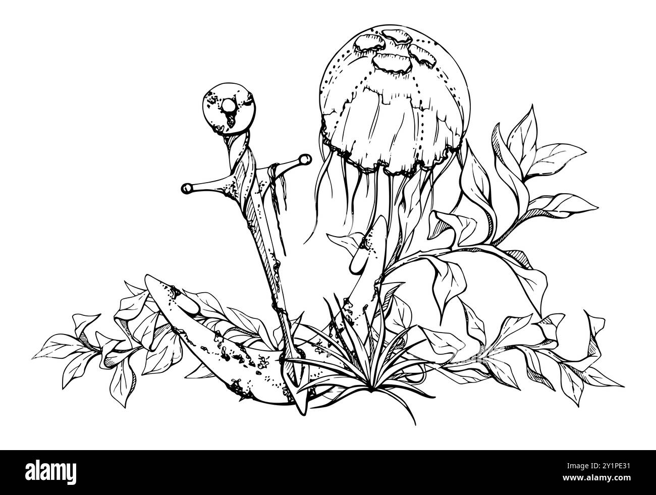 Sea creatures painting Black and White Stock Photos & Images - Alamy