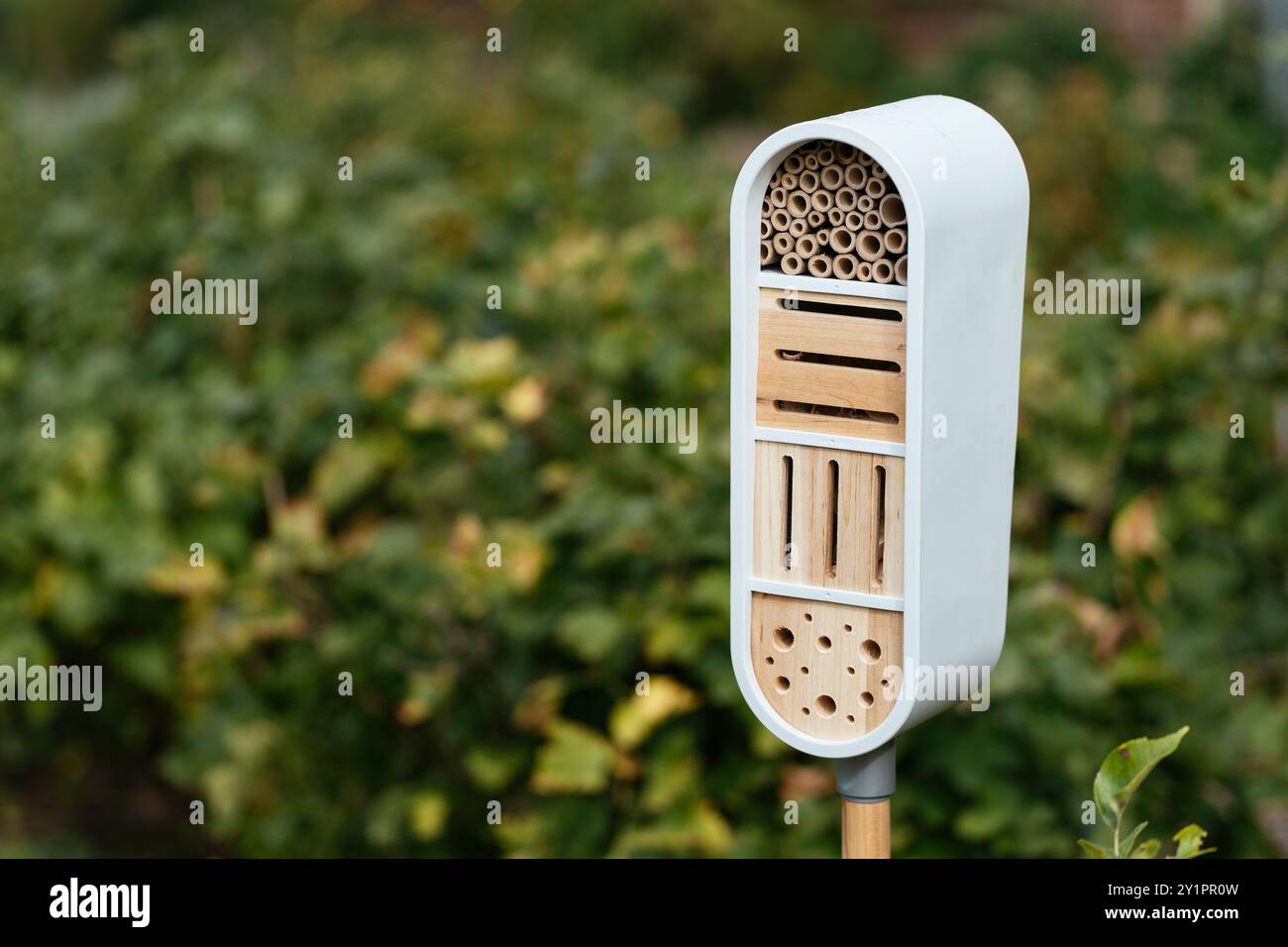 Modern insect hotel on a pole in a garden with shelter for bees ...