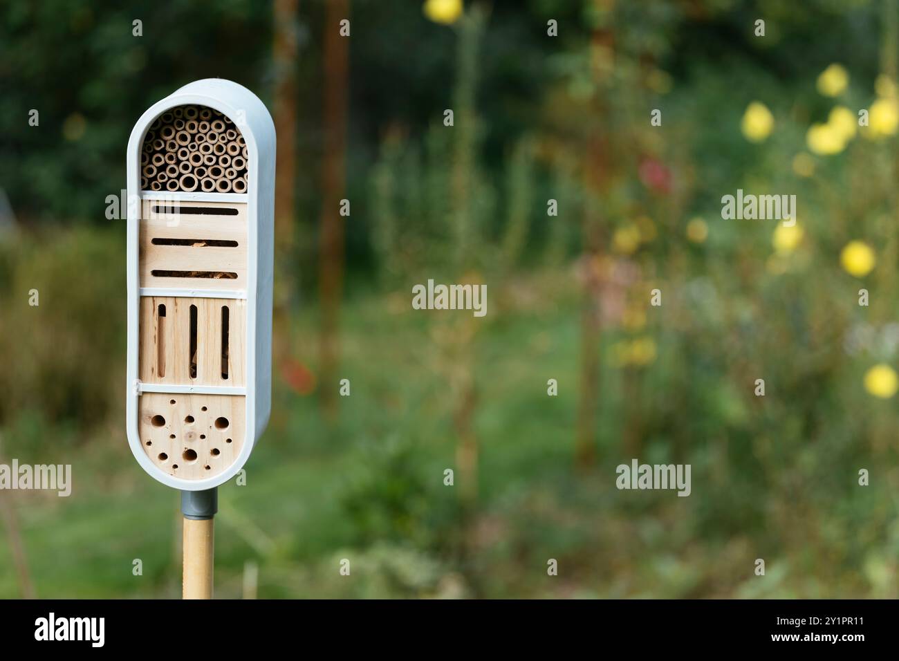Modern insect hotel on a pole in a garden with shelter for bees ...
