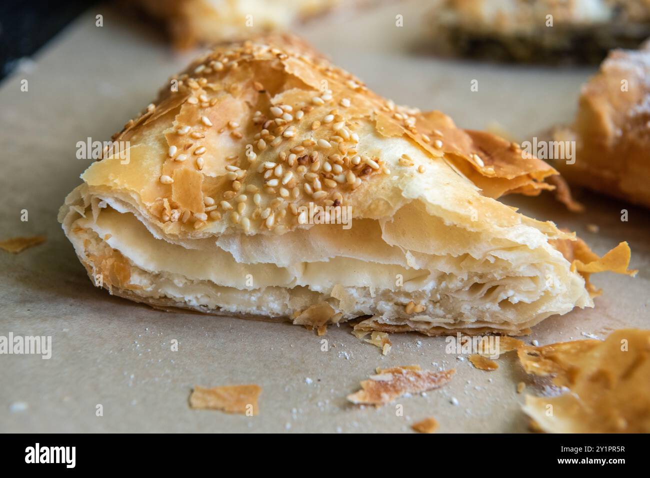 Buttered Phyllo Pastry – Types Of Pastries – DTWNIR