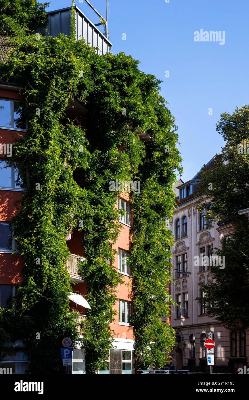 with plants covered house on Werder street, facade greening, Cologne ...