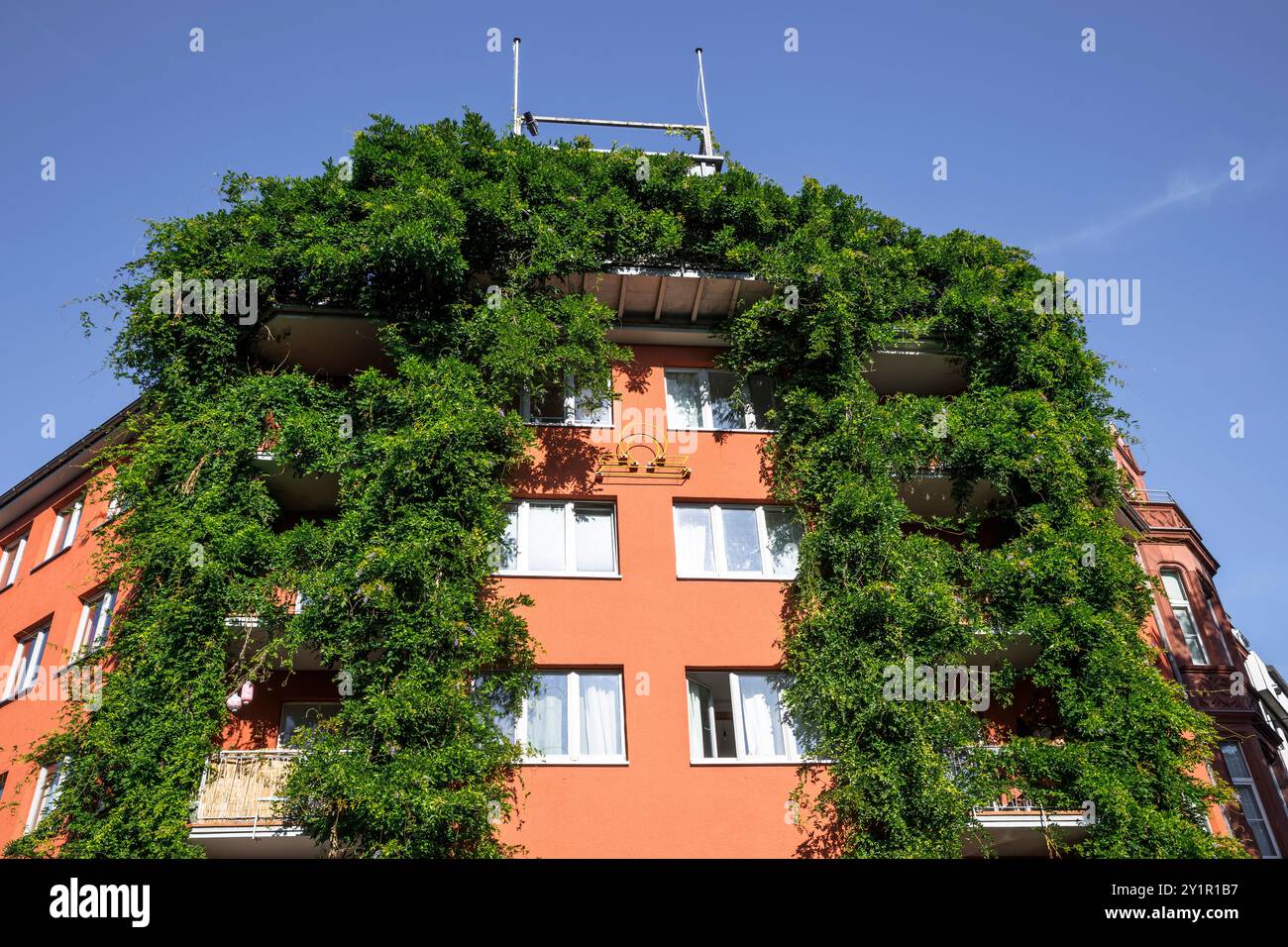 with plants covered house on Werder street, facade greening, Cologne ...
