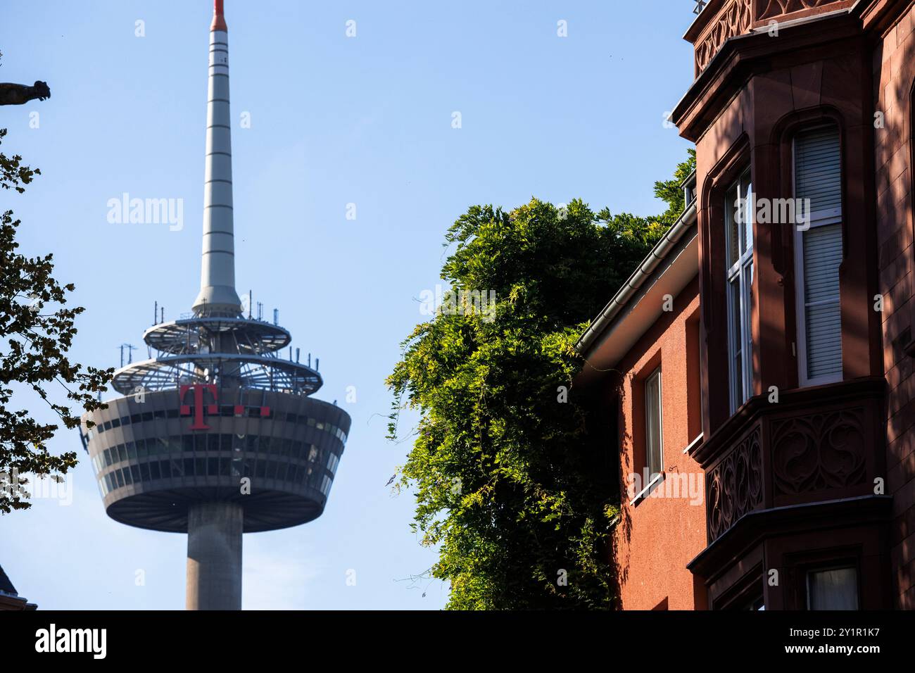 with plants covered house on Werder street, television tower Colonius ...