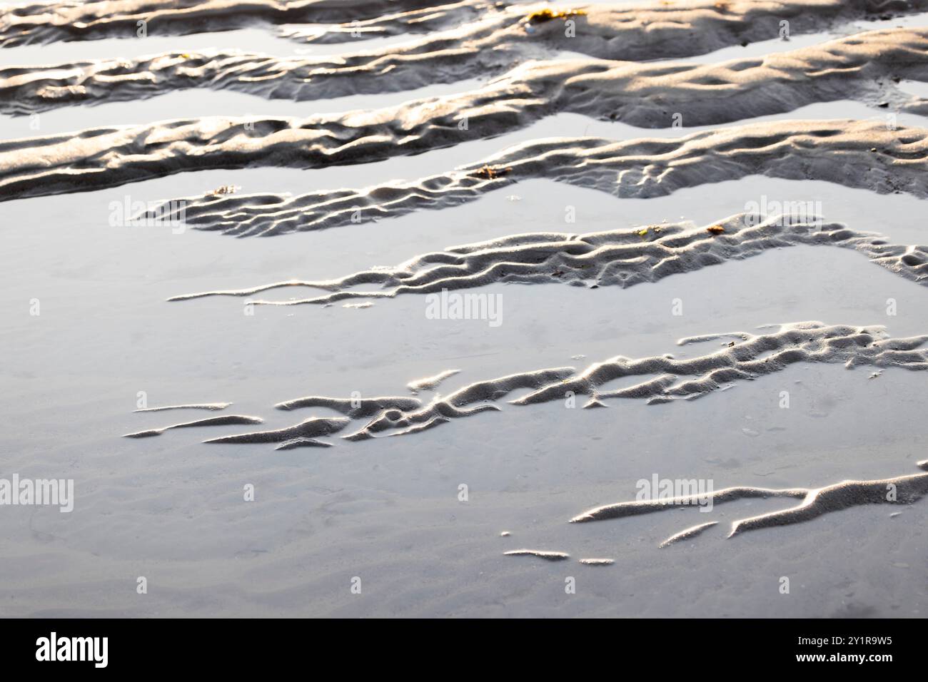 ripple marks at low tide on a sandy beach on the Channel, Manche ...